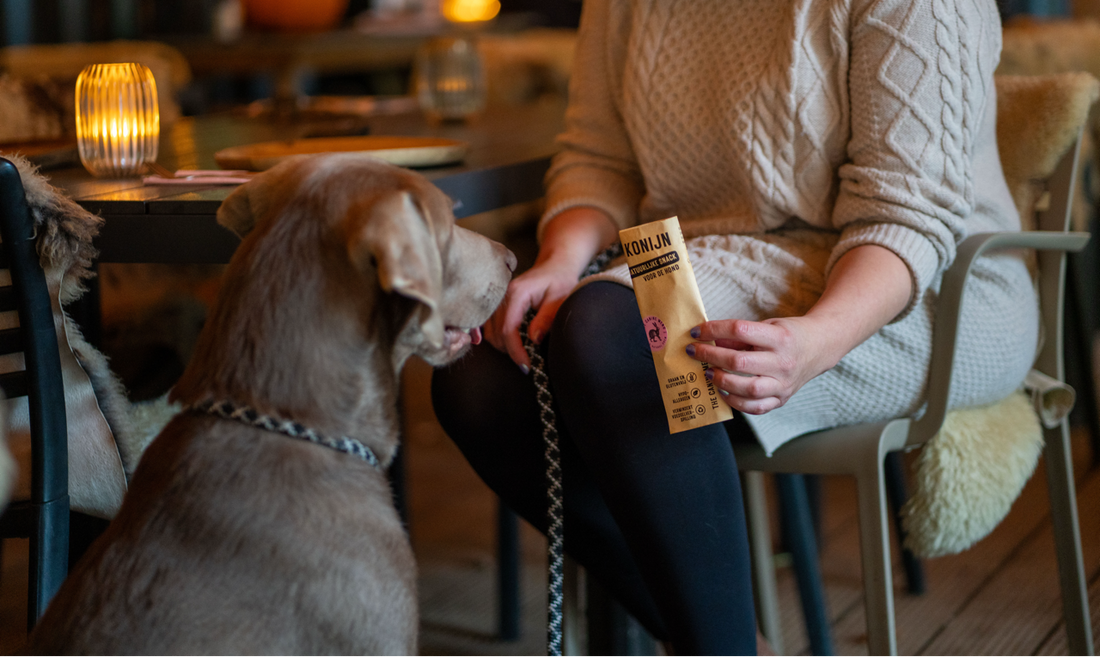 The Canine Menu Europe